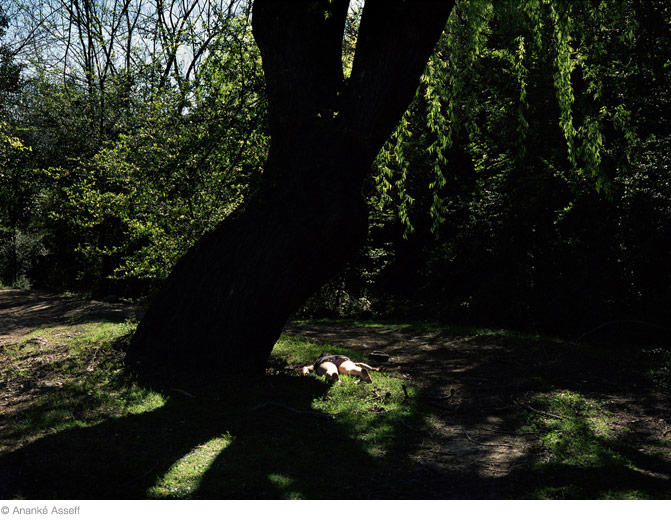 Ananké Asseff – Revista Muu+